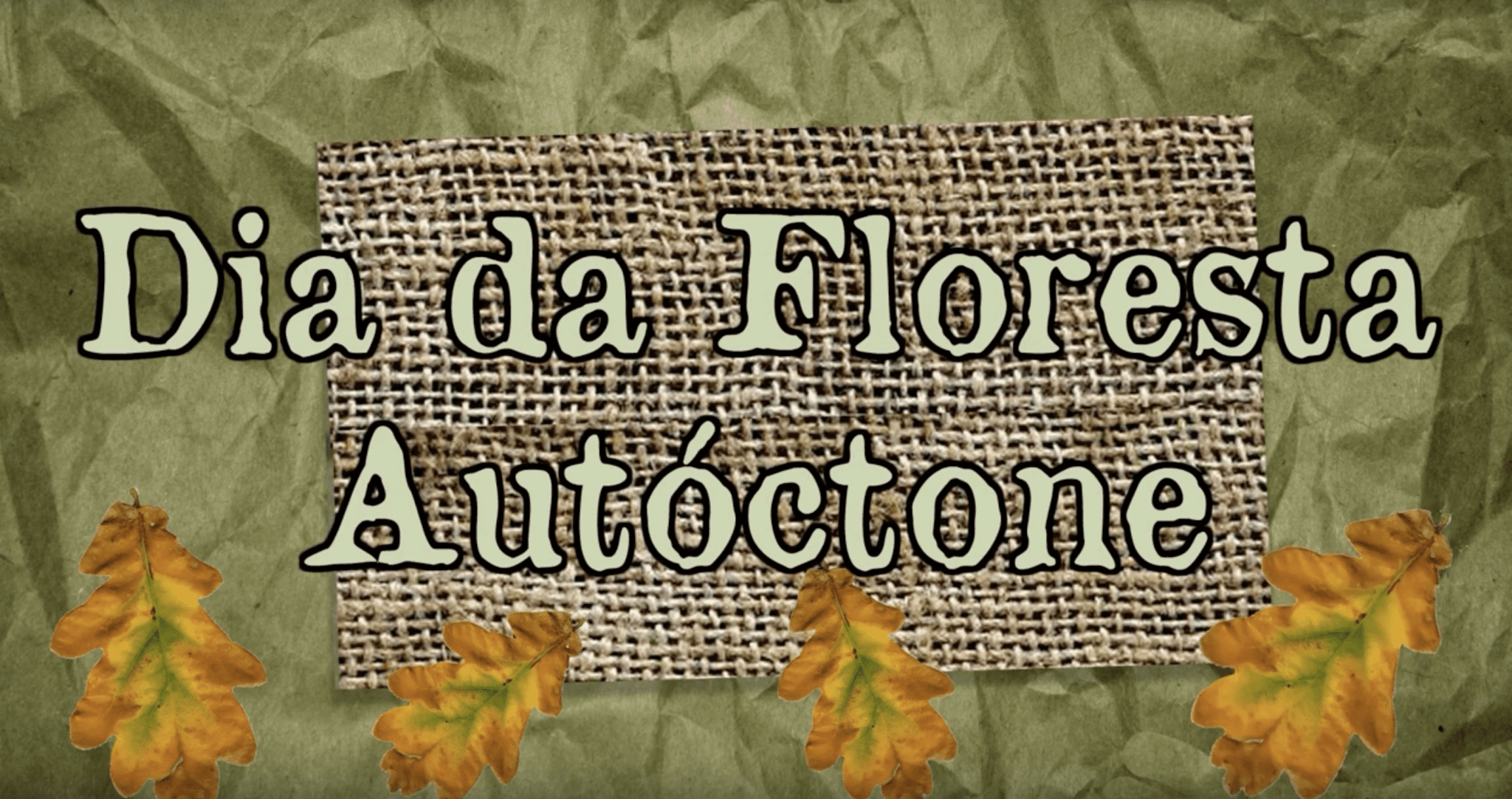 Dia da Floresta Autóctone – Agrupamento de Escolas Dr. Bento da Cruz
